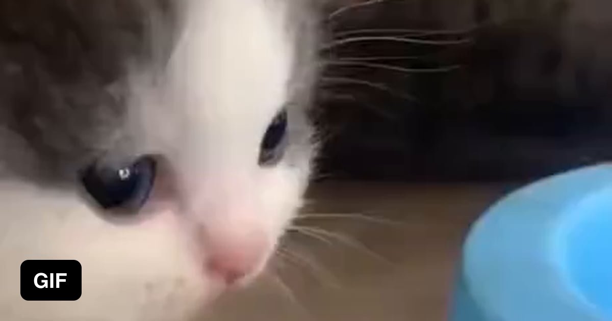 Original not hehe - 9GAG