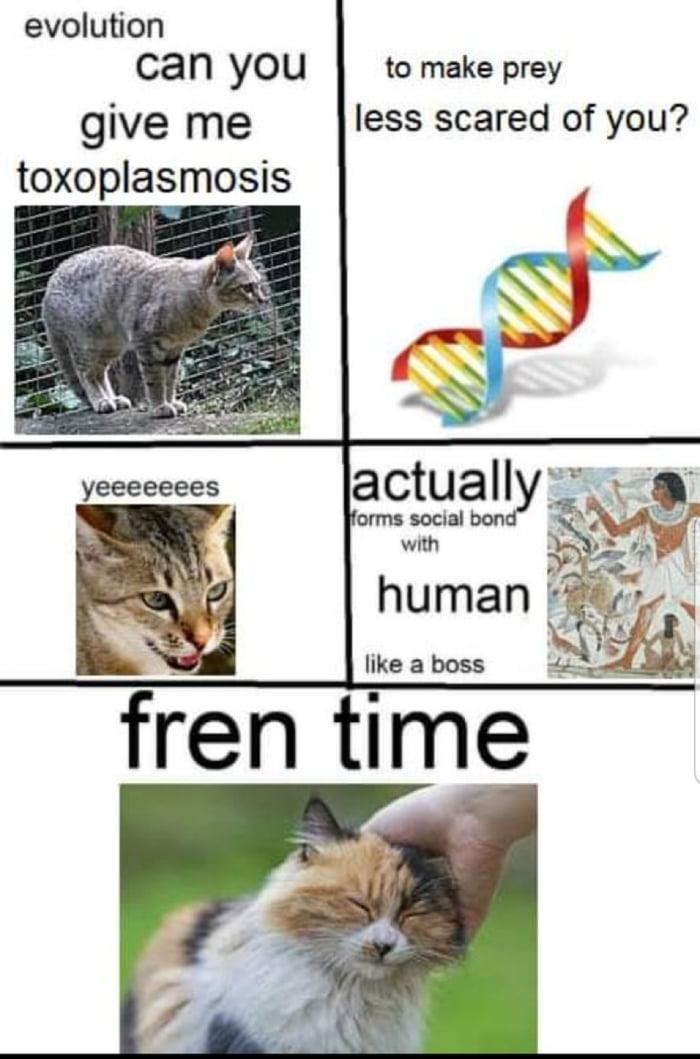 Fren time - 9GAG