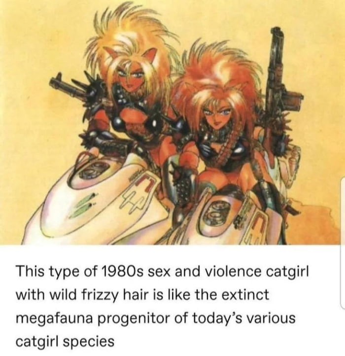 Hypothetically Magos Biologis, could one... rollback the Felids evolution? - 9GAG