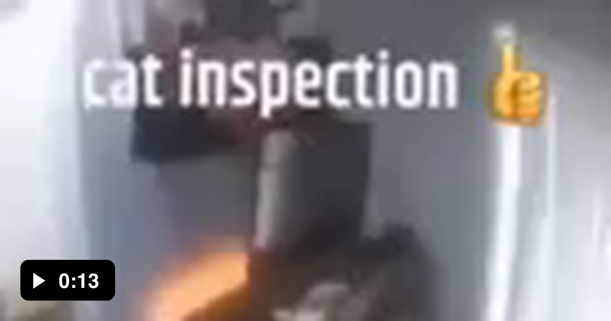 Cat inspection - 9GAG