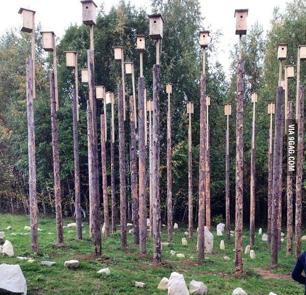 Birdhouses built on destroyed trees, so birds can still nest on them - 9GAG