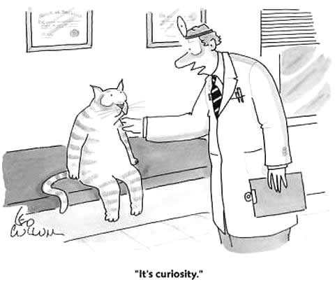 Bad news, Mr Cat. - 9GAG