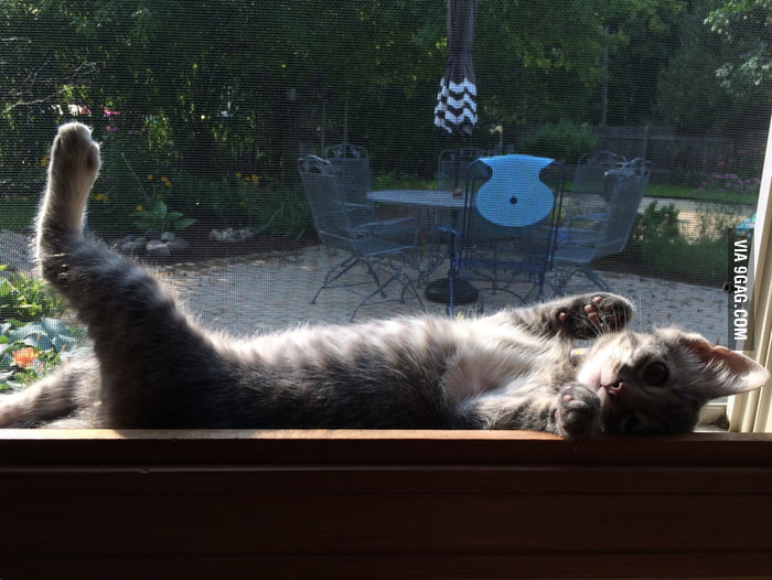 Chillin to the max - 9GAG