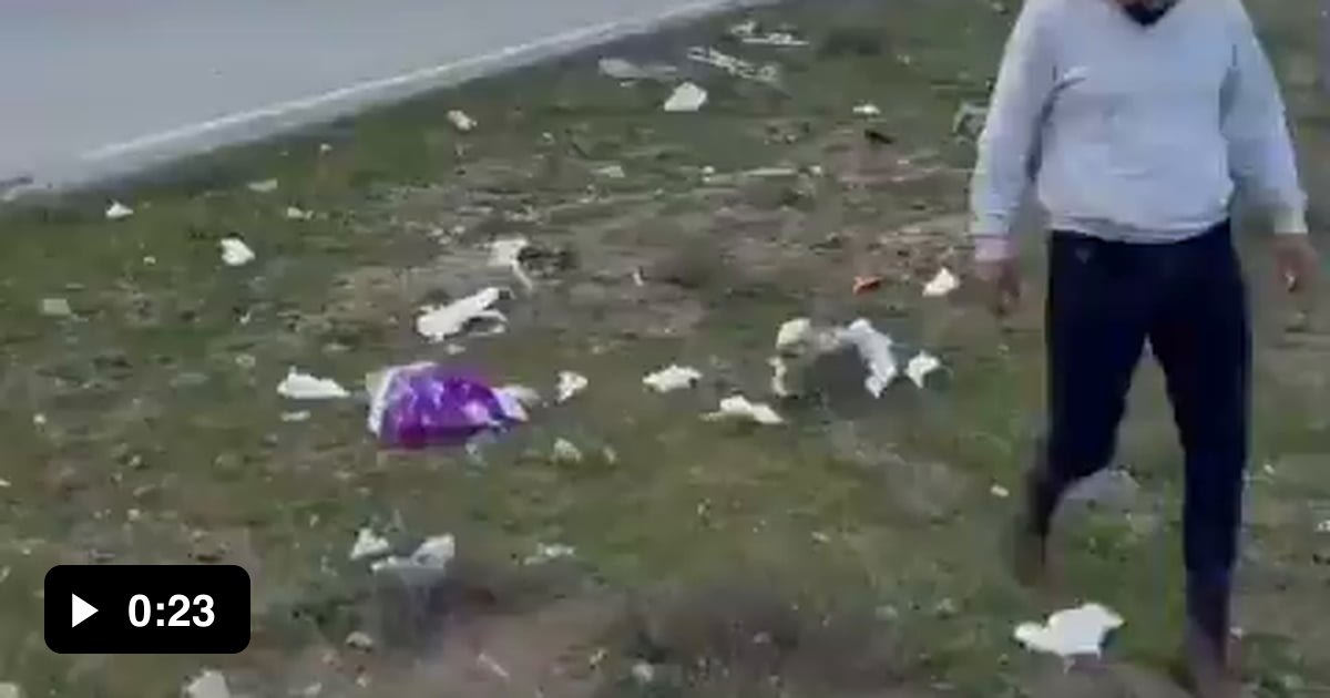 Nah he doesn't bite, he just wants to play - 9GAG