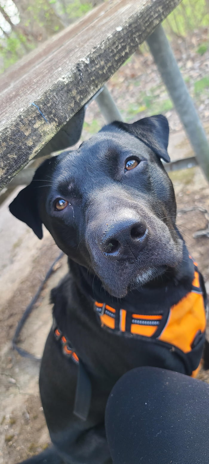 Rare boy Deano - 9GAG