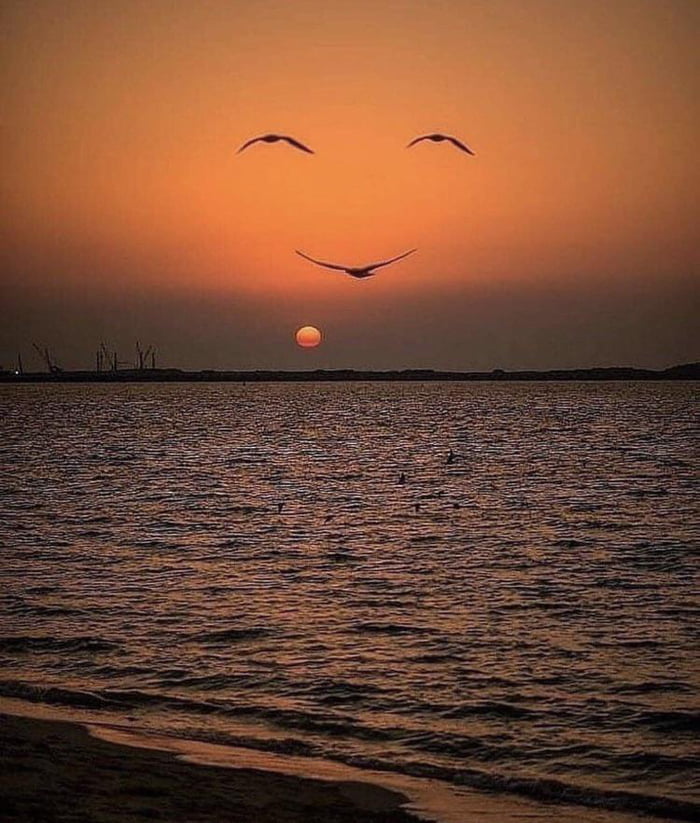 Birds of a feather form a smiley face together - 9GAG