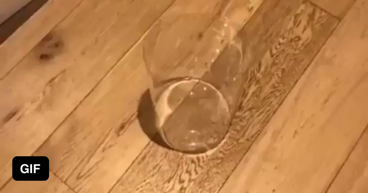 The fluffiest fluff of all fluffs - 9GAG