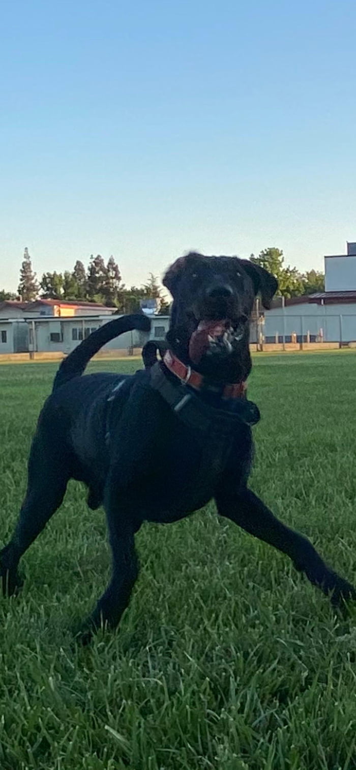 He may be a little off, which means is all the more reason to love him ...