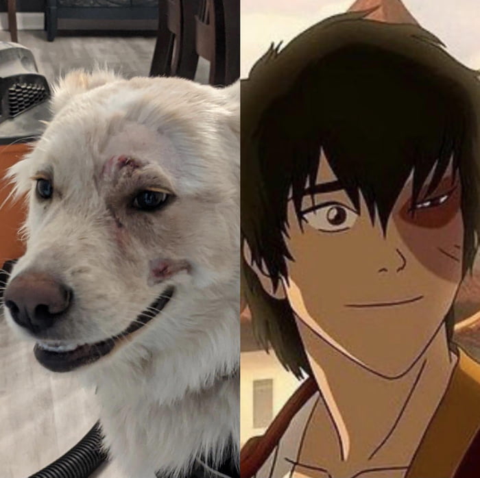 Zoomko the dishonored, That’s Ruff Buddy - 9GAG