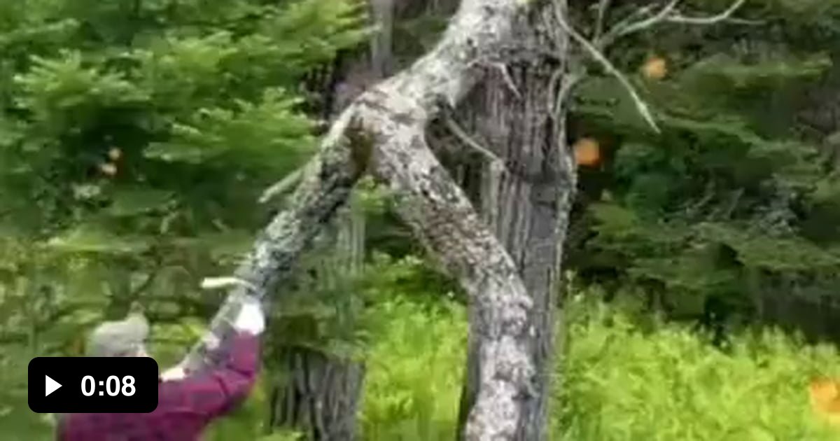 Yeah, shake it - 9GAG