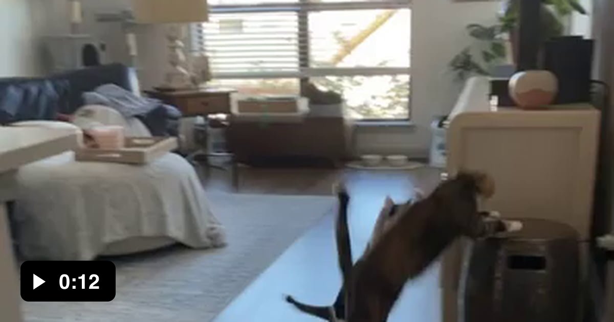 Flawless execution - 9GAG