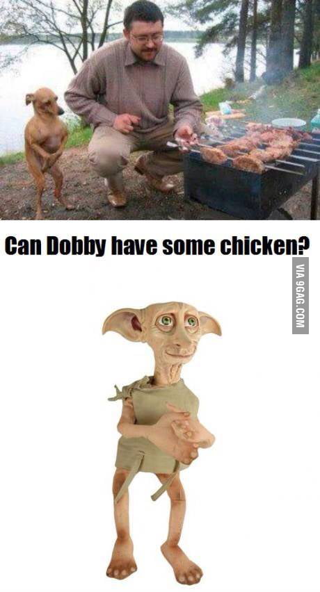 Dobby want some chicken? - 9GAG