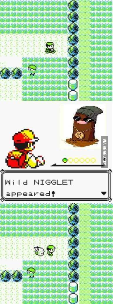 Damn Nigglets - 9GAG