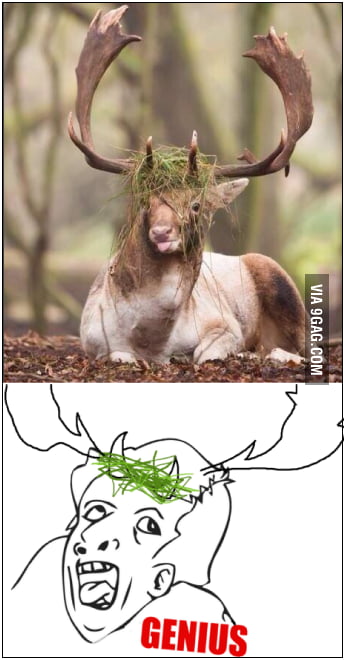 Well, good job Henry! - 9GAG