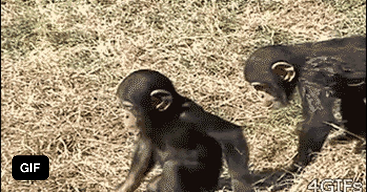 A mean kid on the playground… a protective mother… we are not so ...