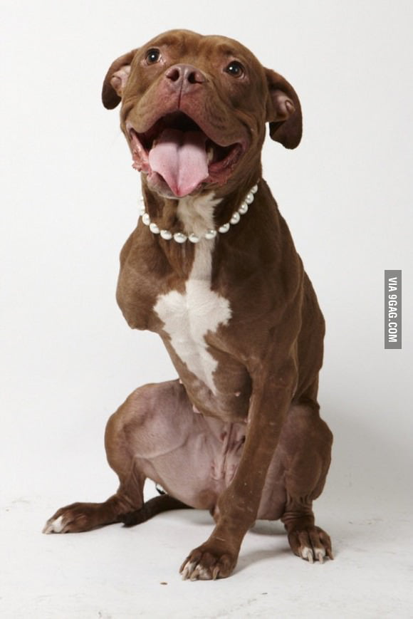 Beautiful 9gag