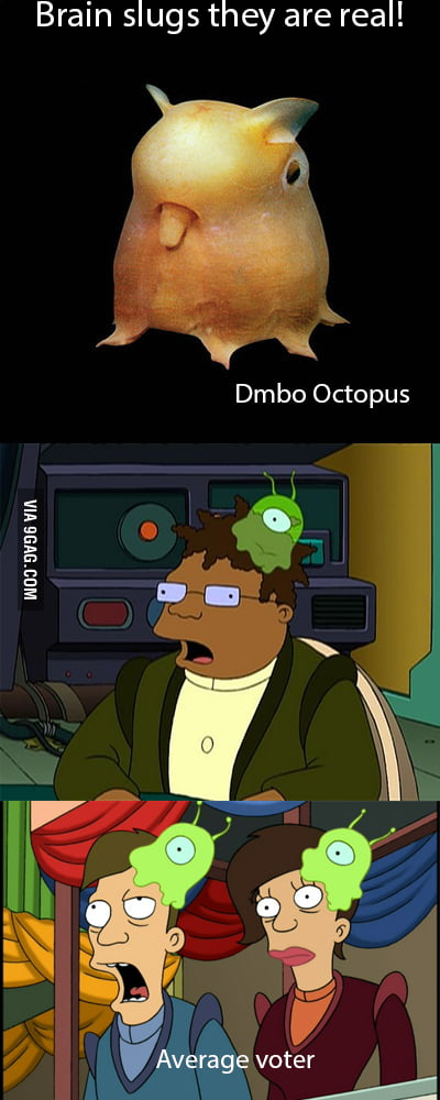 Brain Slugs they are real!! - 9GAG