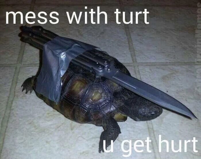 Mess with crabbo, you get stabbo - 9GAG