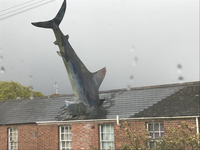 Real life Sharknado - 9GAG