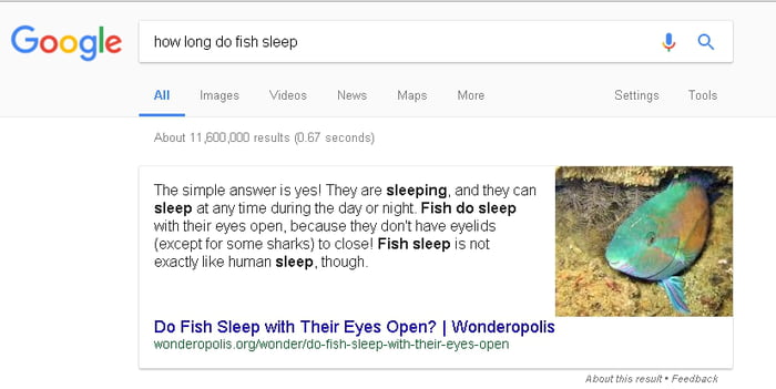 Curious for the result of another animals* How long do fish sleep? YES ...