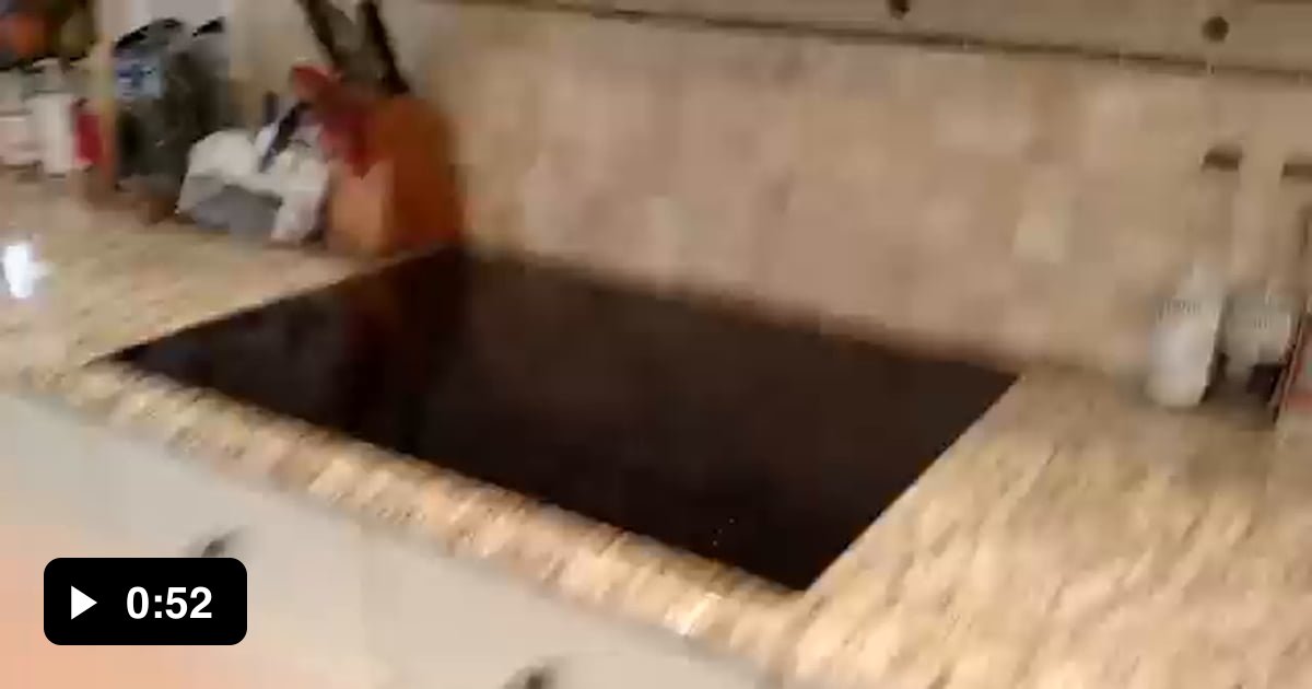 Cat has a crazy deep meow. - 9GAG