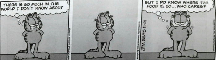 Garfield is so relatable - 9GAG