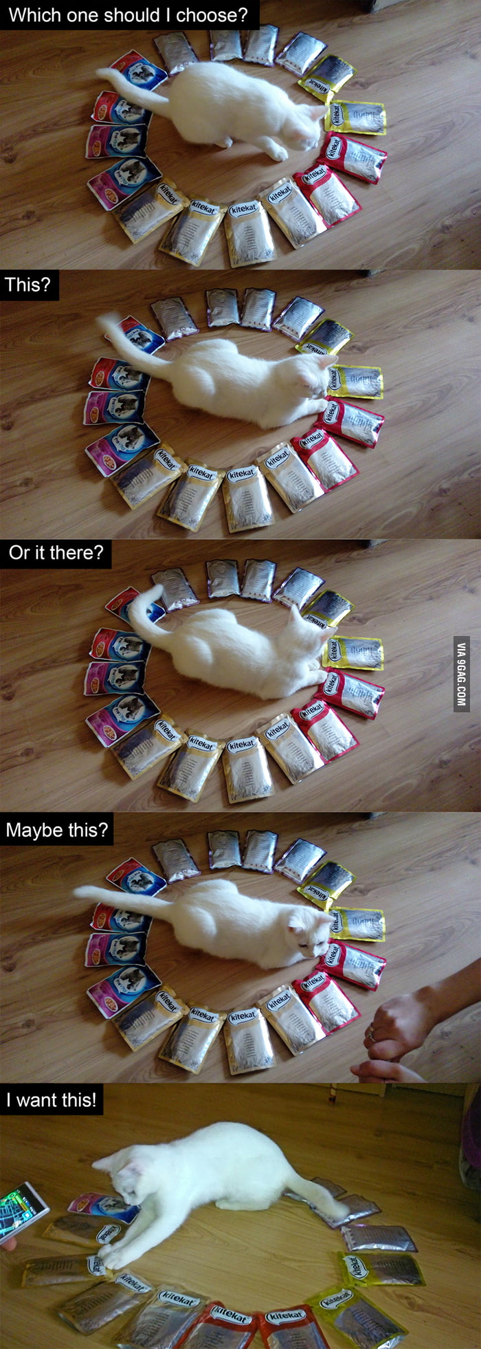 Difficult decision - 9GAG