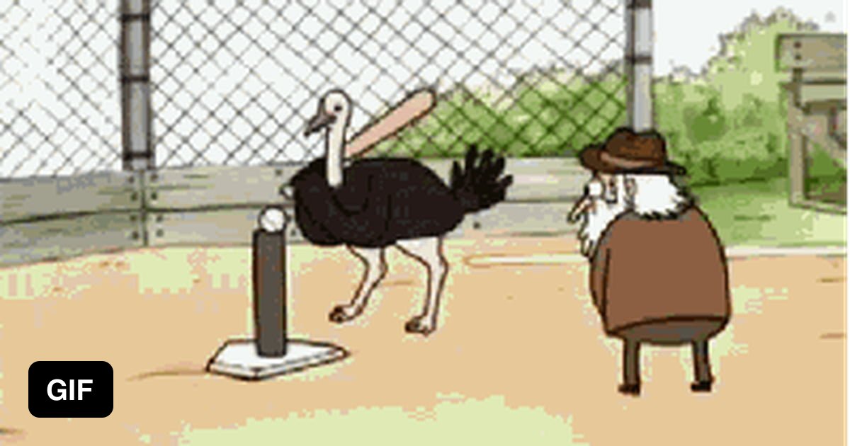 Just an ostrich playing baseball - 9GAG