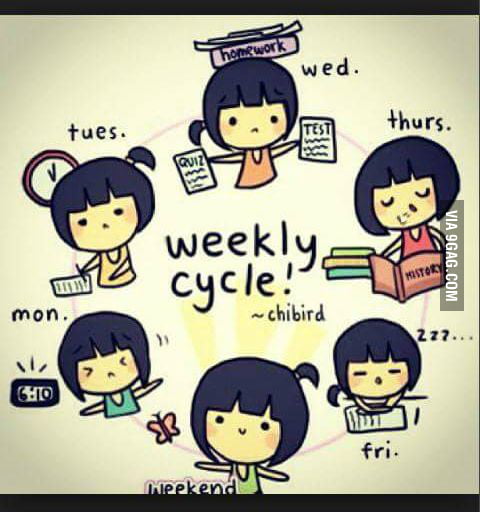 Weekly cycle - 9GAG