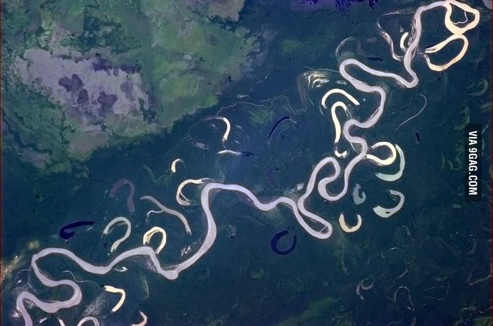 Go home River you're drunk - 9GAG