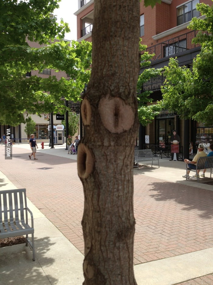 OooOooOooooooOooo - 9GAG