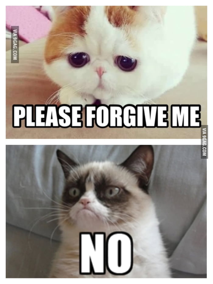 Grumpy cat strikes again - 9GAG