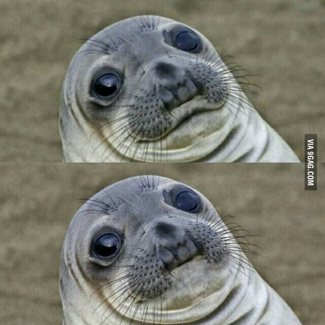 Someone photoshopped out the actual mouth of the awkward seal to make ...