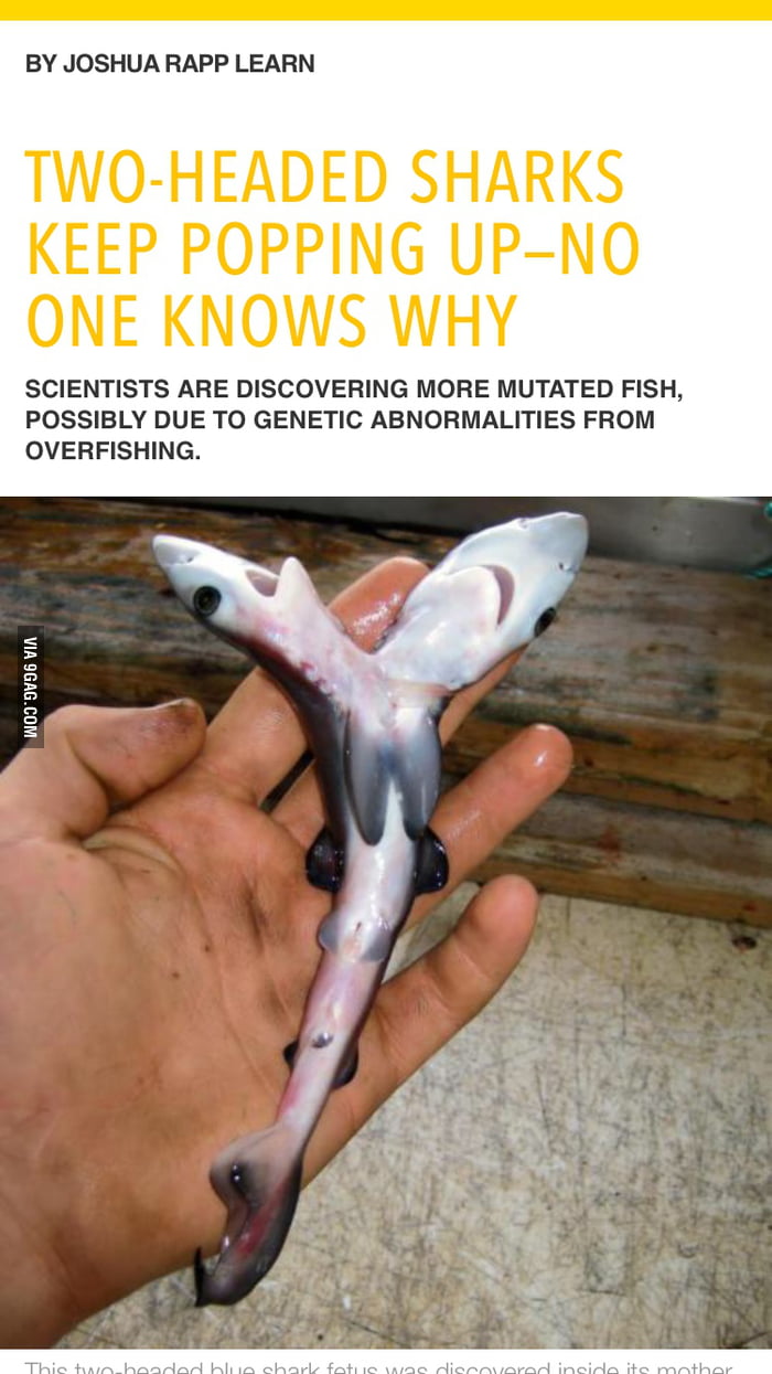 A nope nope! - 9GAG
