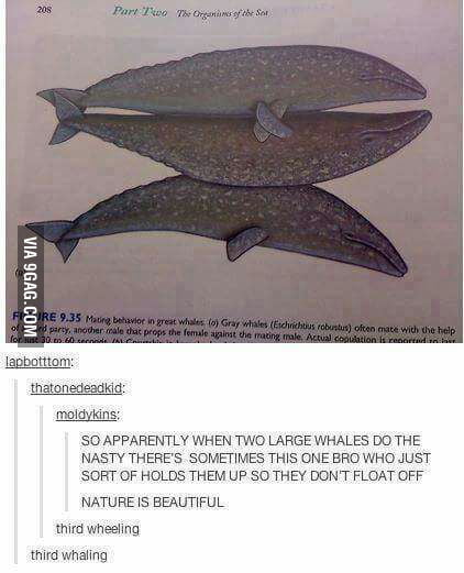 Third-Wheeling level: Whale - 9GAG