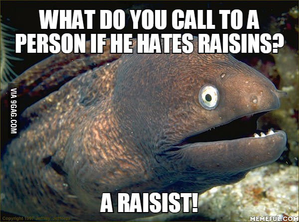 RAISIst, HA! get it? no? ok... - 9GAG