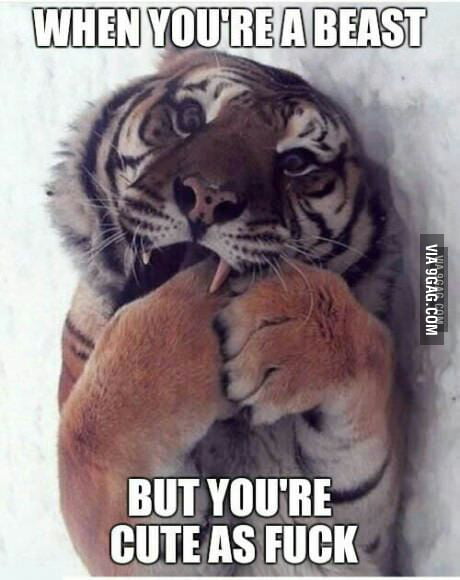 Heck yeah!!!!!!!! - 9GAG