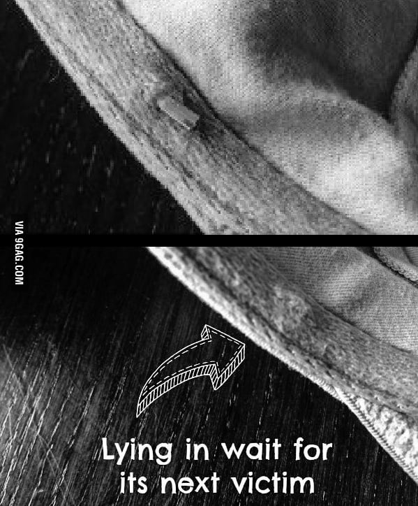 Killer Boobs 9gag