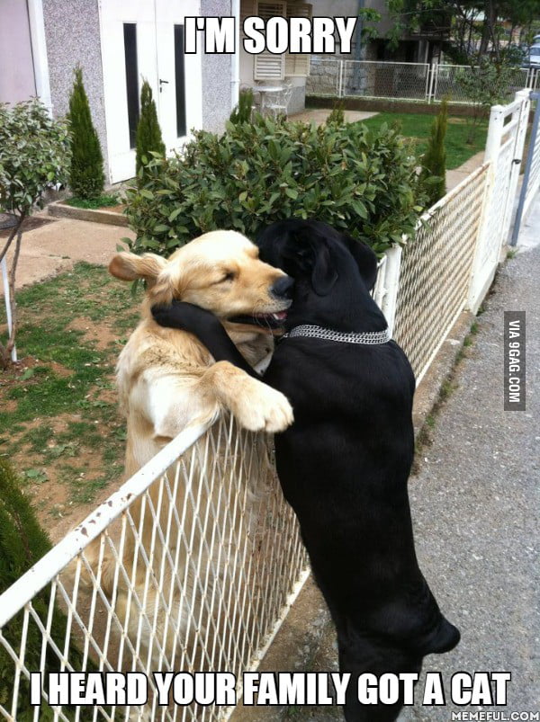 I'm so sorry - 9GAG
