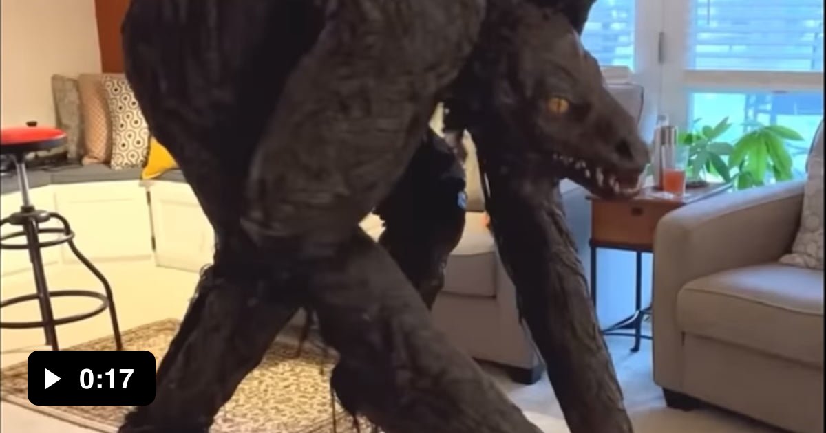 How dogs see me, just dont have the touch - 9GAG