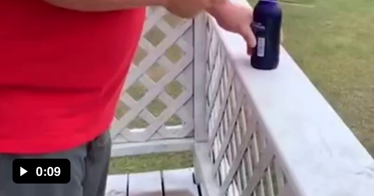 Dammit Ricky! - 9GAG