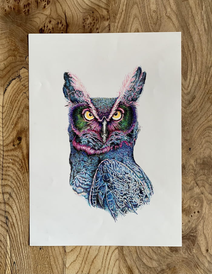 Pointillism Owl, Over 60 Hours Of Dots - 9GAG
