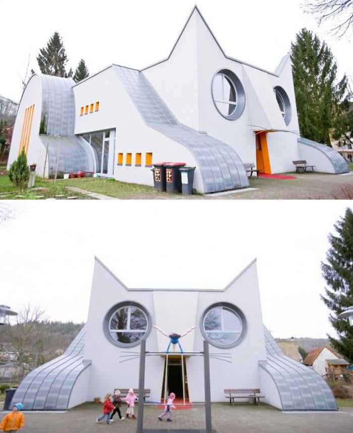 A Cat Kindergarten School In Germany 9GAG