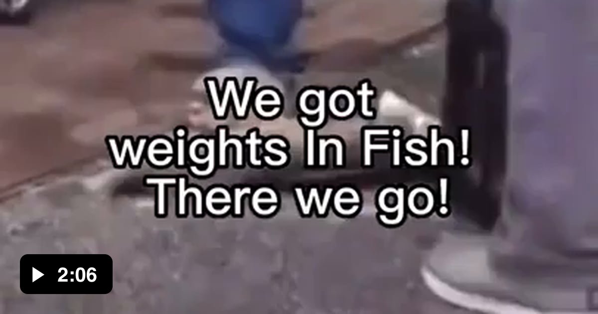 Something fishy going on here! - 9GAG