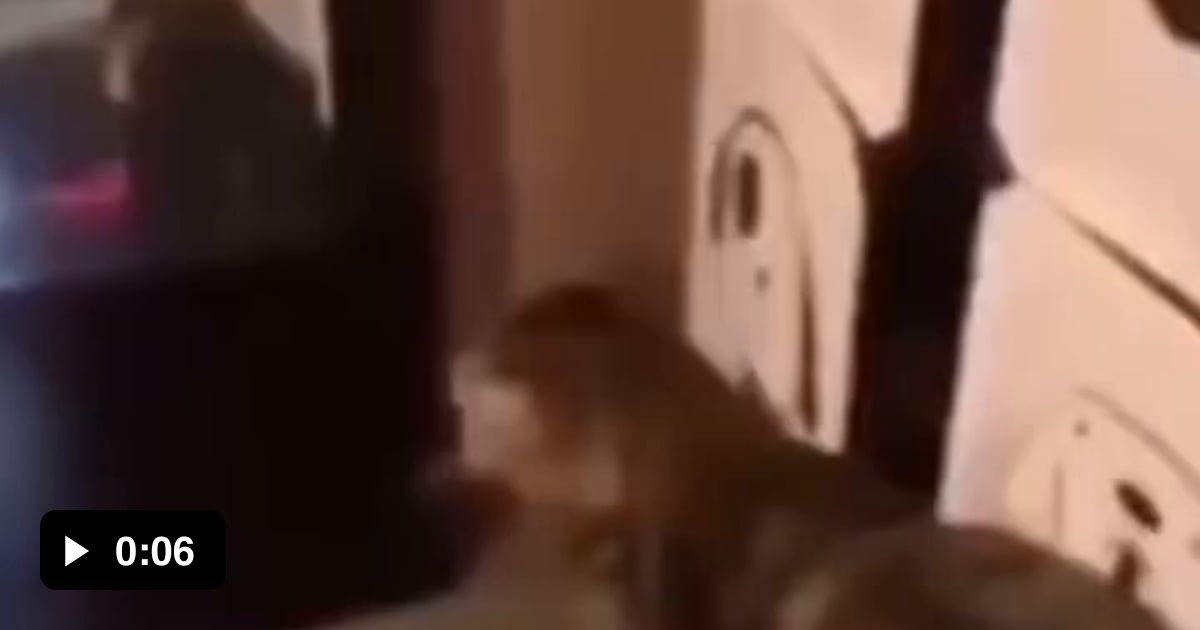 The uprising is inevitable - 9GAG