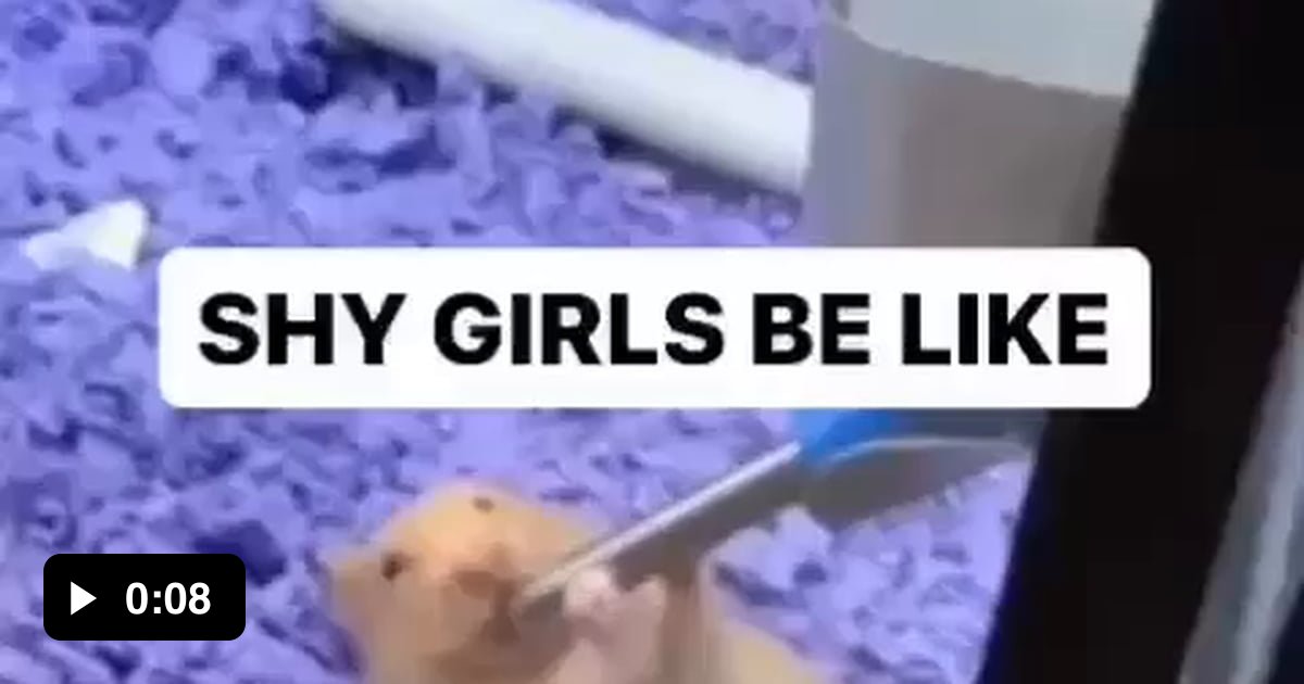 Shy girls be like - 9GAG