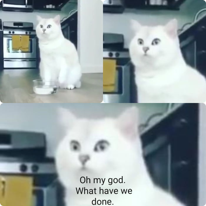 Hamas be like: - 9GAG