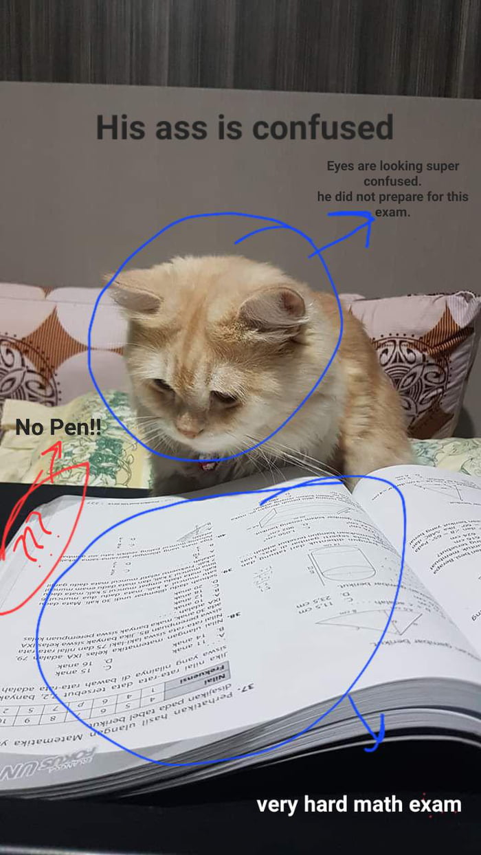 The US Education system as a whole - 9GAG