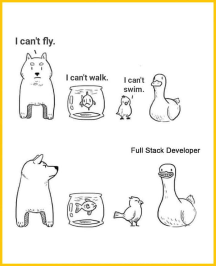 A Full Quack Developer - 9GAG