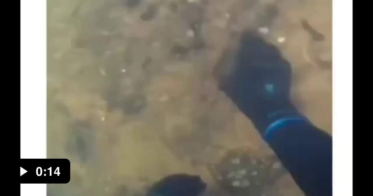 Deep sea treasure - 9GAG